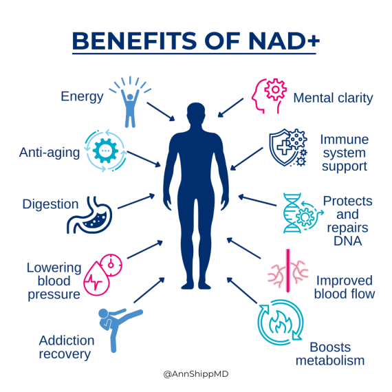 The Benefits of NAD+ and How It Keeps You Looking and Feeling Younger ...